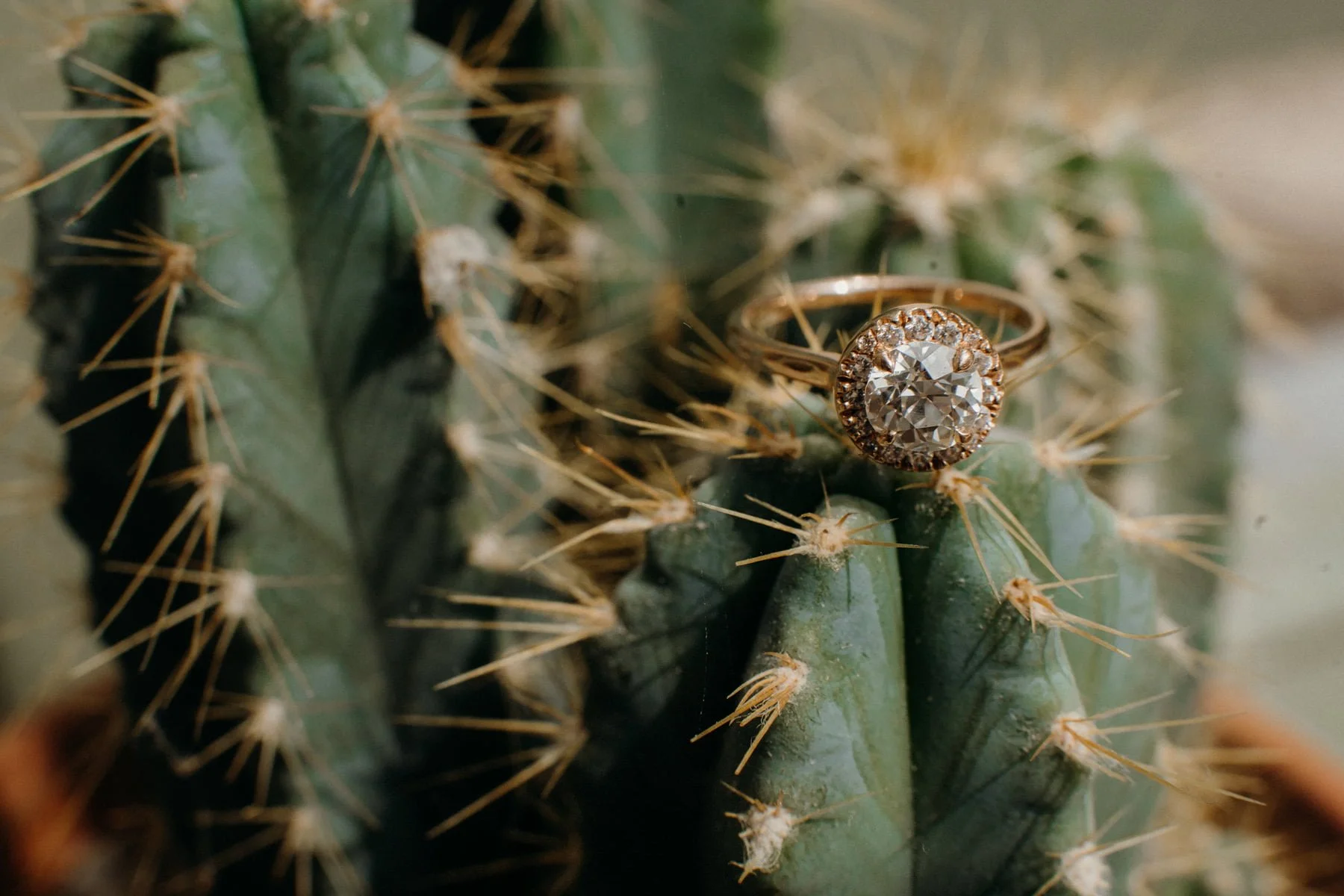 Alternative Wedding Ireland - Whimsical Unique Mount Druid